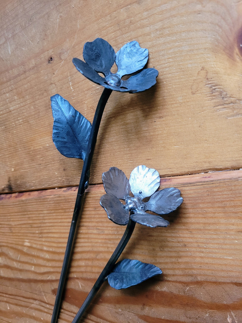 Workshops – Jen Lipski Fine Art